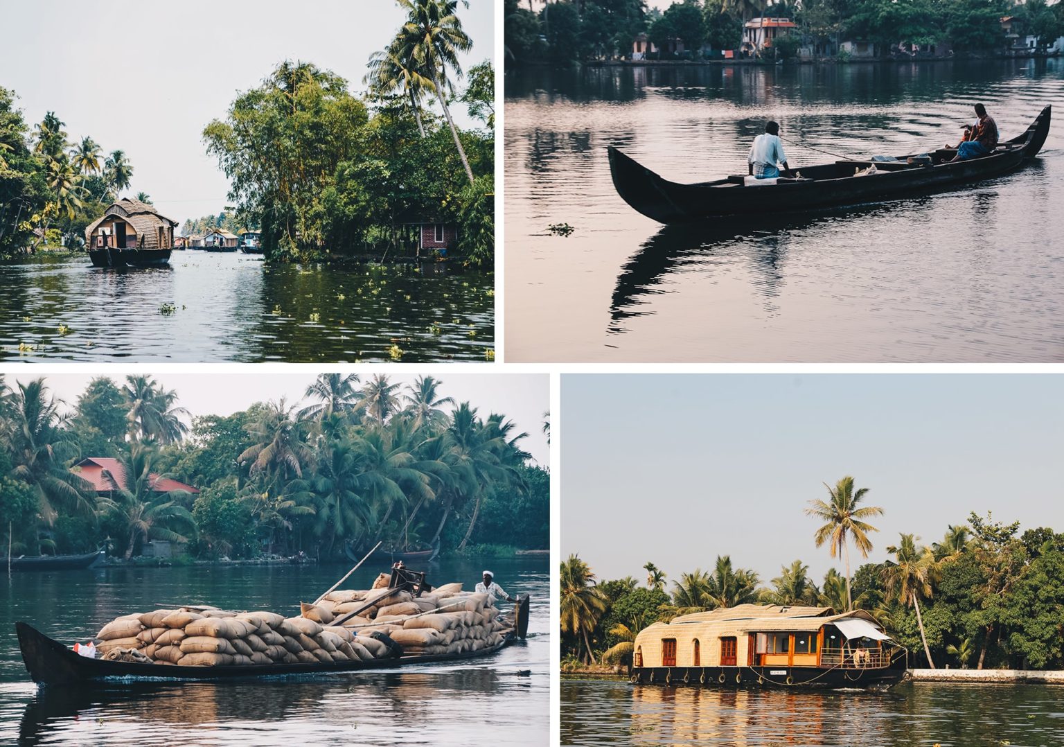 Voyage au Kerala en Inde du Sud | Mademoiselle Voyage