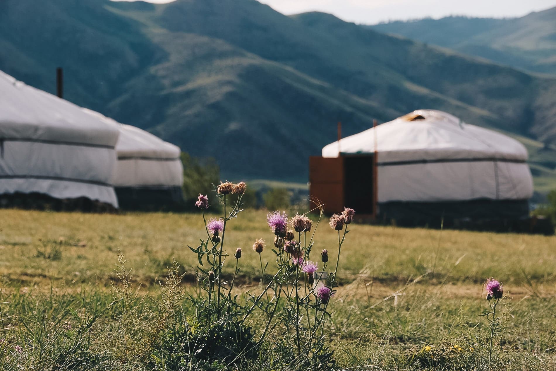 Voyage en Mongolie : Tous nos conseils pour organiser votre voyage