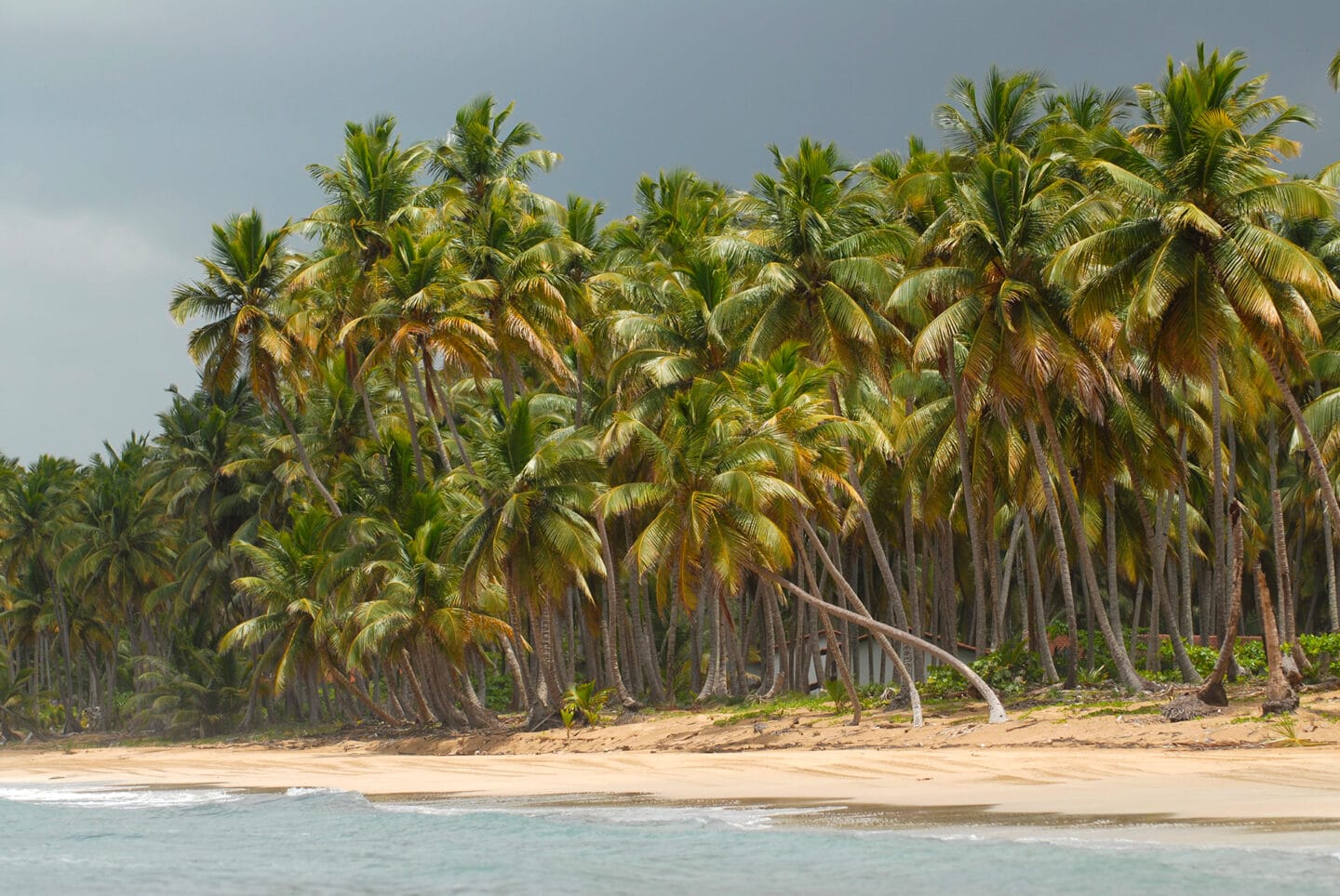7 idyllic beaches on the Samana Peninsula in the Dominican Republic