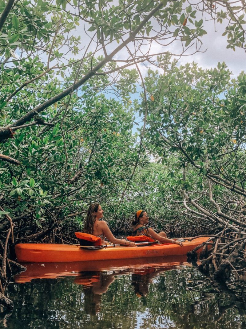 Grand Bahama aux Bahamas : 6 expériences à vivre
