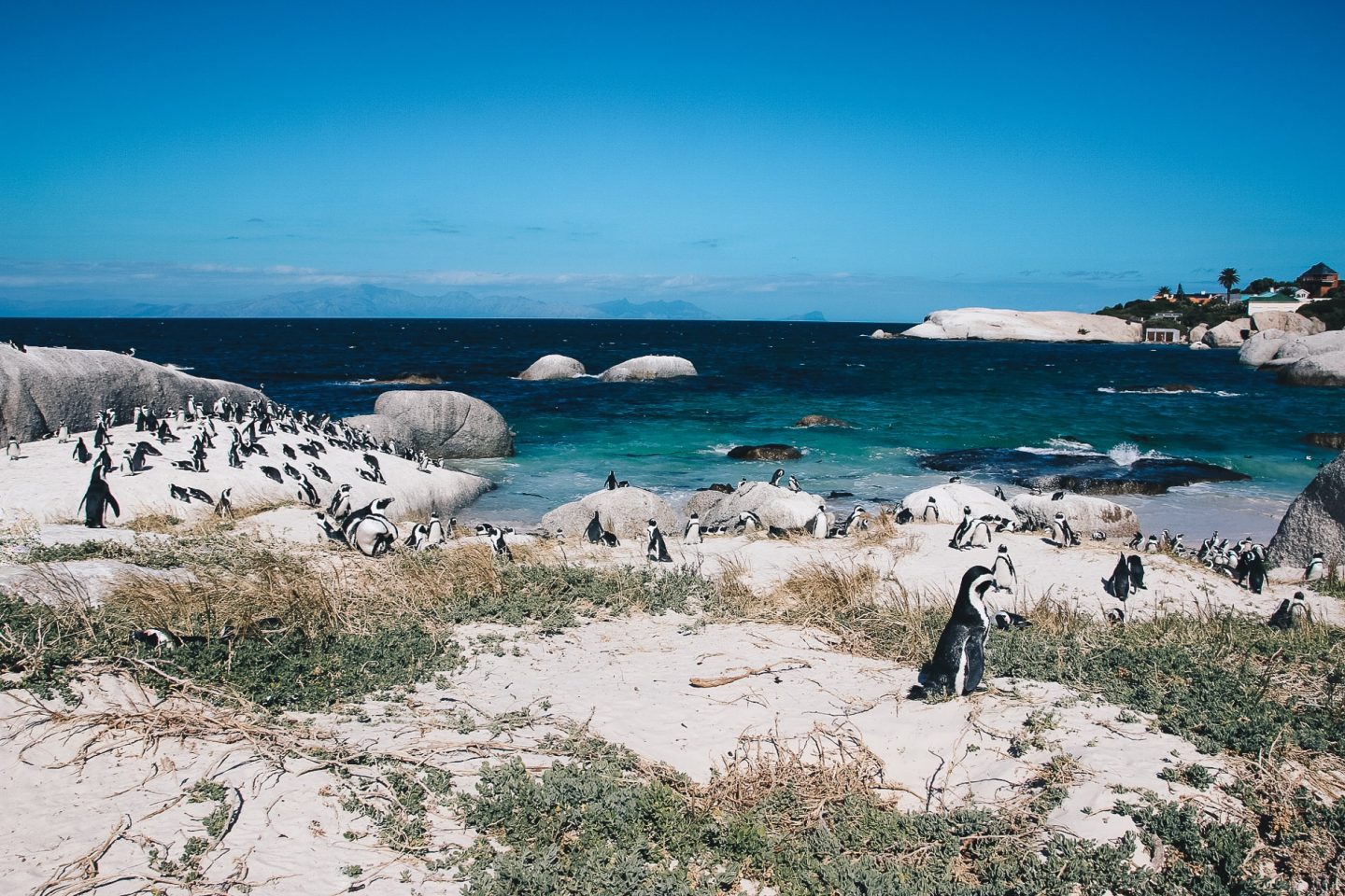 What to see in the Cape Peninsula from Cape Town | Blog voyage et ...