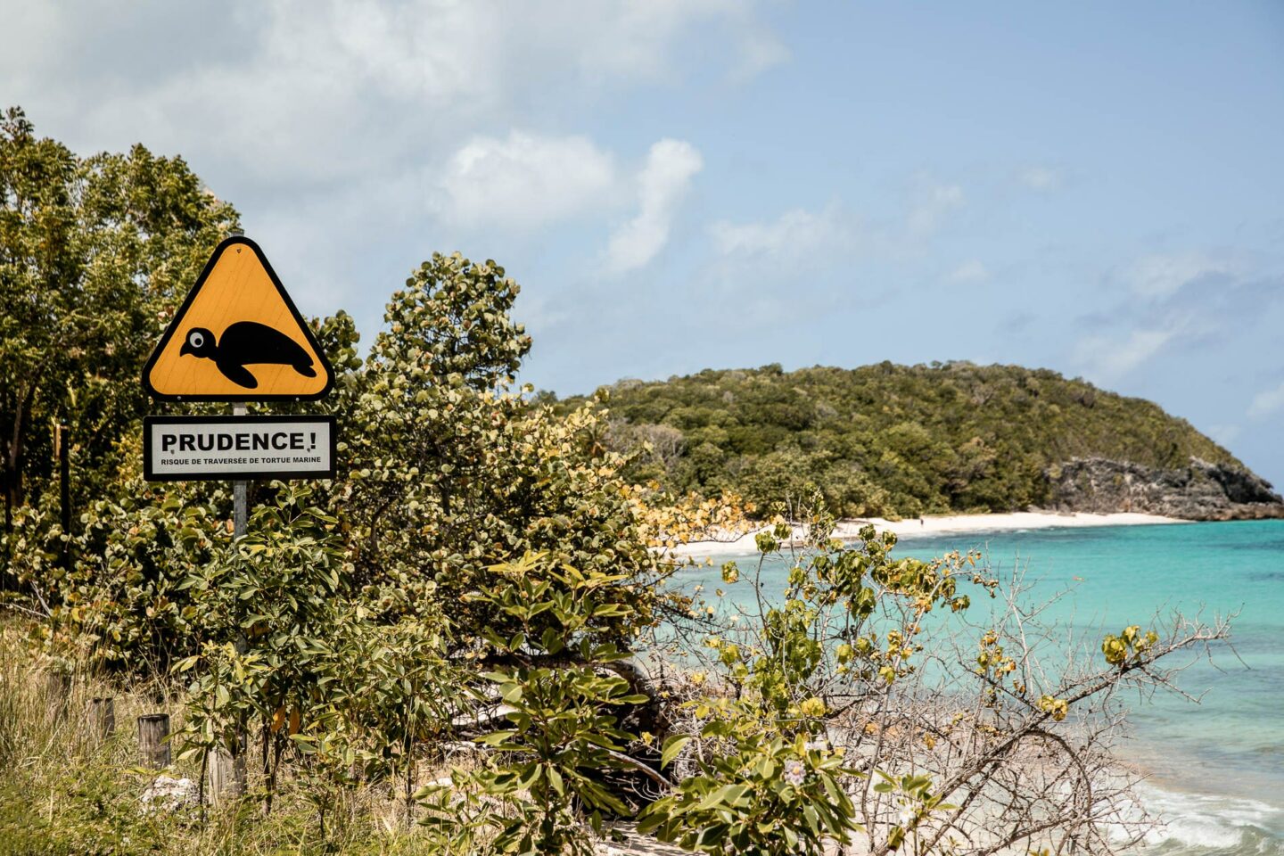 Que faire à marie galante sur 4 jours | Le guide pratique pour réussir ...