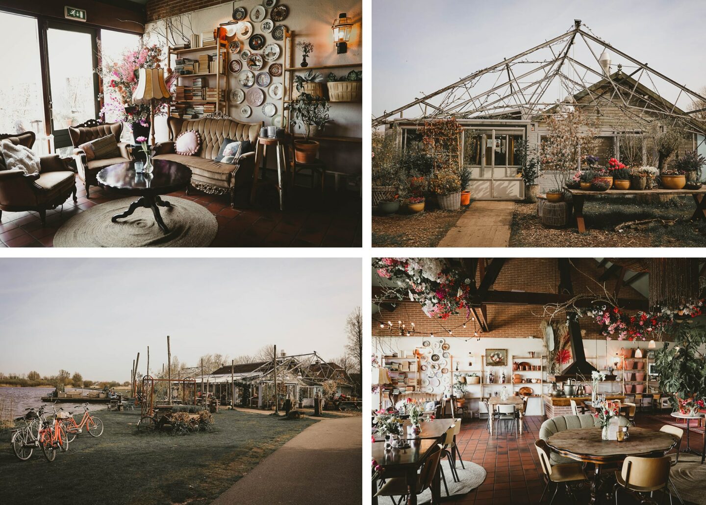 Champs de tulipe en Hollande : Où les voir