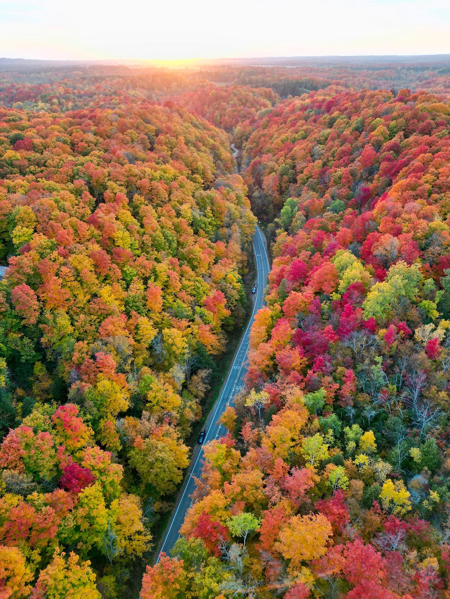 Canada en automne : que voir et que faire pour un voyage inoubliable
